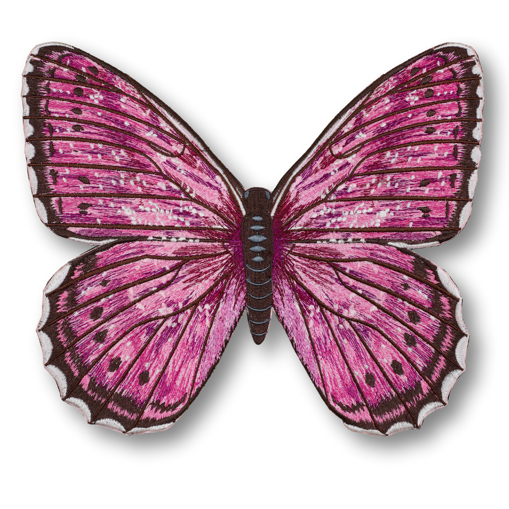 Blue Morpho Helena Butterfly #25- Acrylic Mount — Anita Goodesign